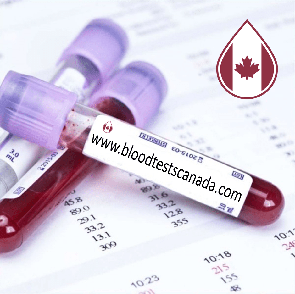 folate-rbc Private blood test in canada – Blood Tests Canada